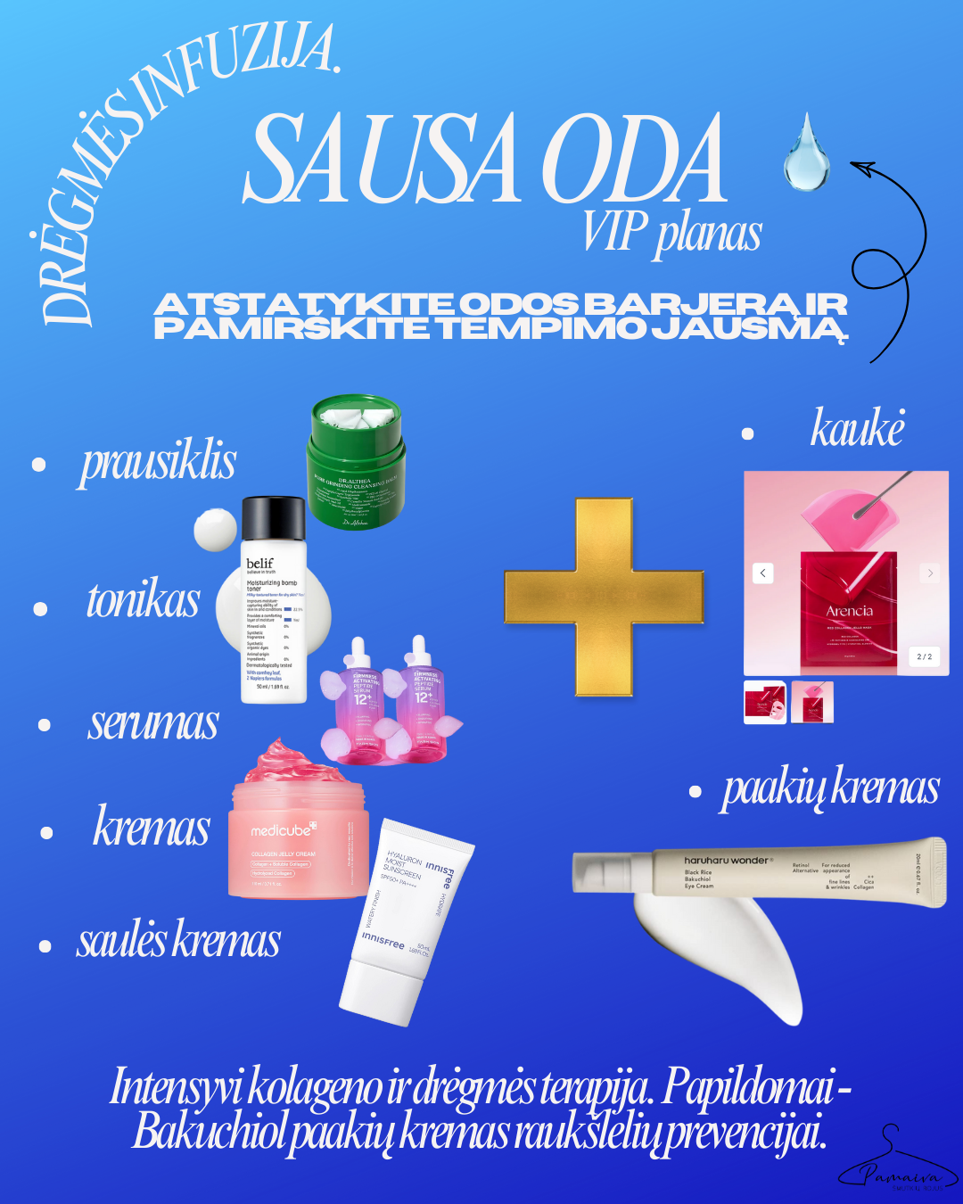 SAUSA ODA / VIP planas – Pamaiva